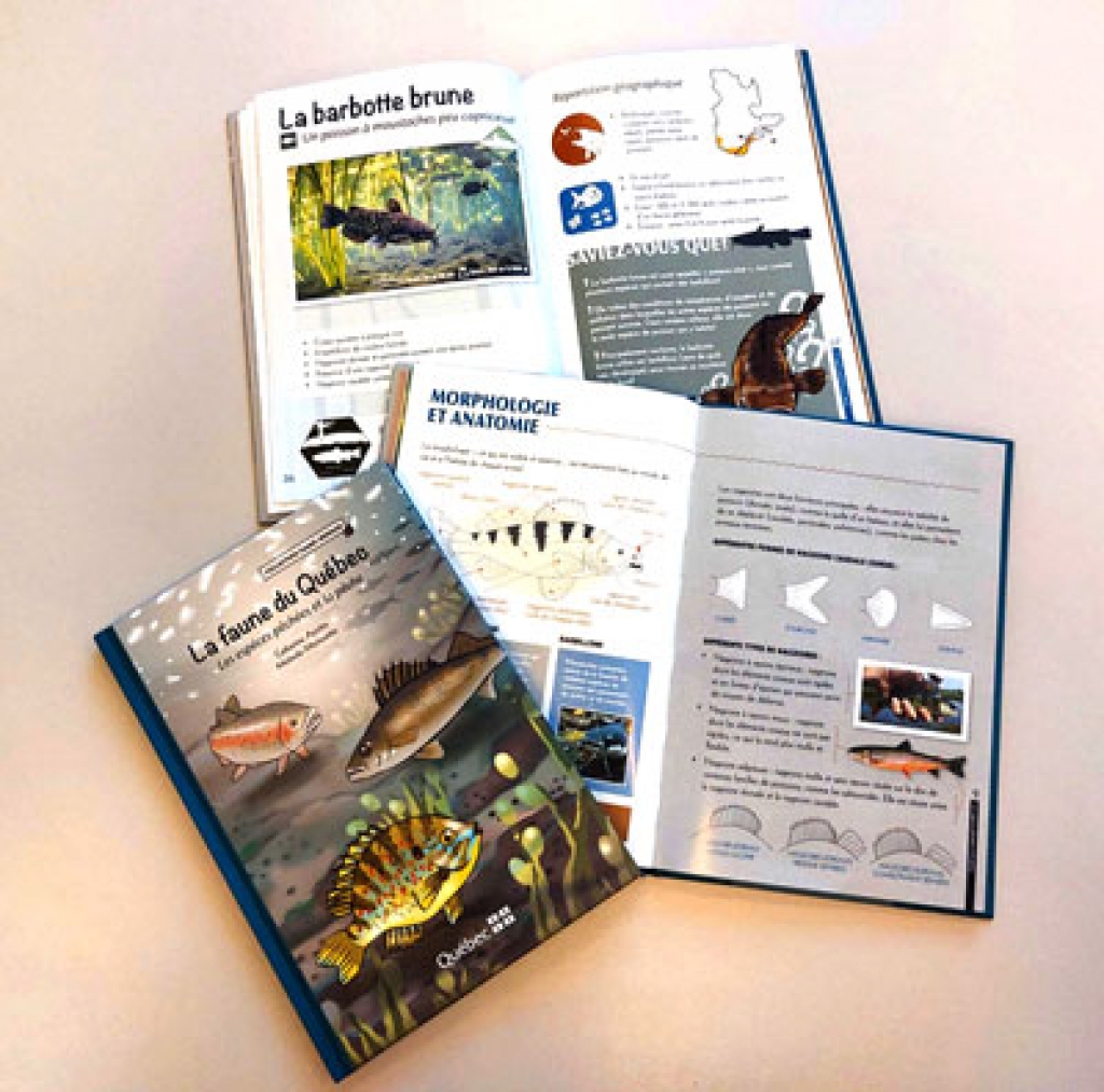 Collection faune jeunesse – La faune du Québec - Ministère des Forêts ...